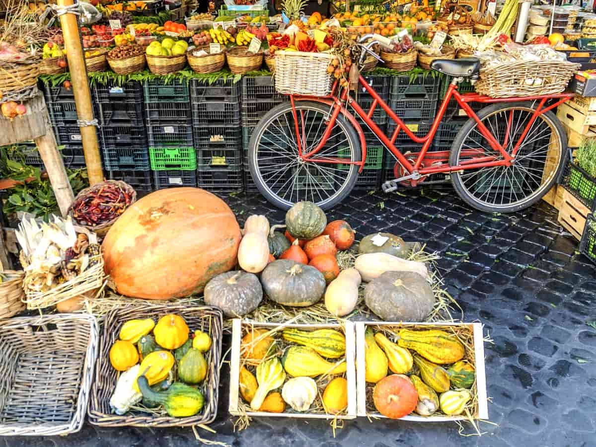 Exploring Rome’s Historic Markets - City Wonders