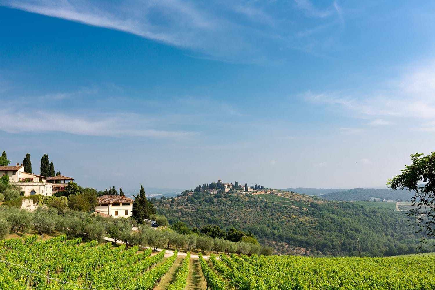 Tuscany Day Trip & Wine Tasting Tour from Rome - City Wonders
