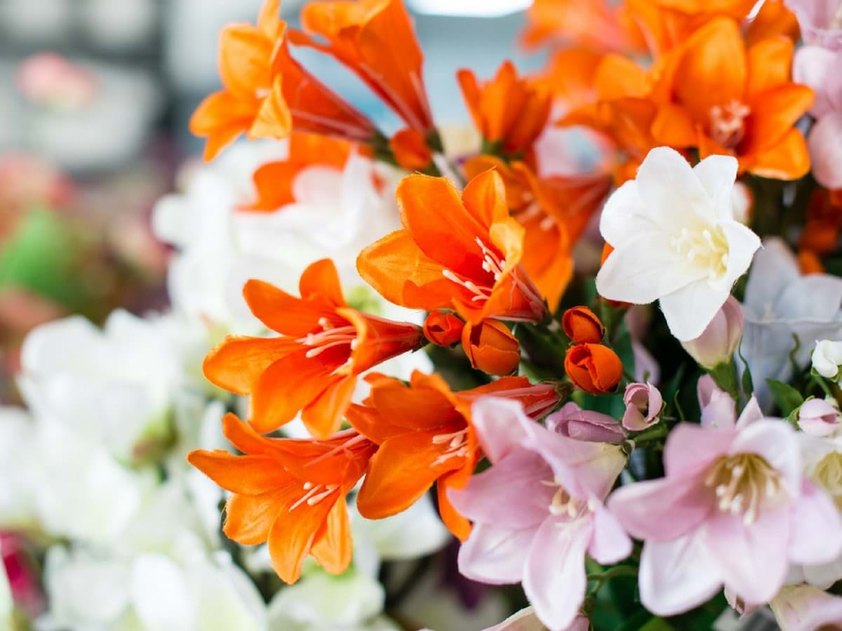 Best Markets in Florence Guide - City Wonders