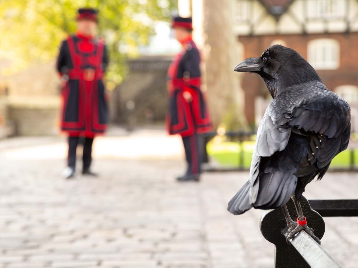 6 Things to See When Visiting the Tower of London - City Wonders